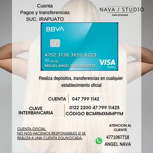 Nava Studio - Irapuato - Pago