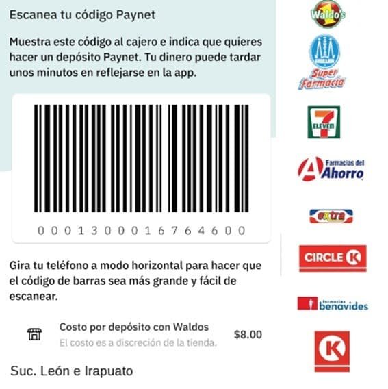 Nava Studio - Irapuato - Pago